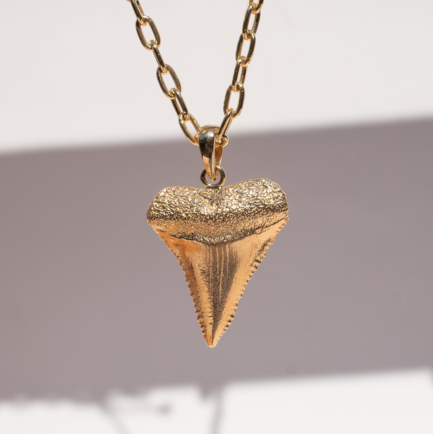 Golden Shark Tooth Pendant – Jewels by Lubeck