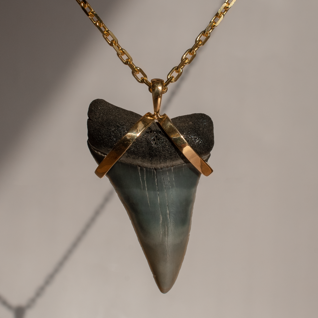 Gold Shark Tooth Pendant – Jewels by Lubeck
